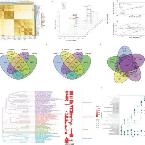 Analysis Of Transcriptome Data And Functional Enrichment Of