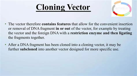 Cloning Vectors Ppt