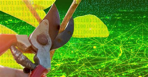 Compact Neural Networks Are Accelerating The Speed Of Processing In