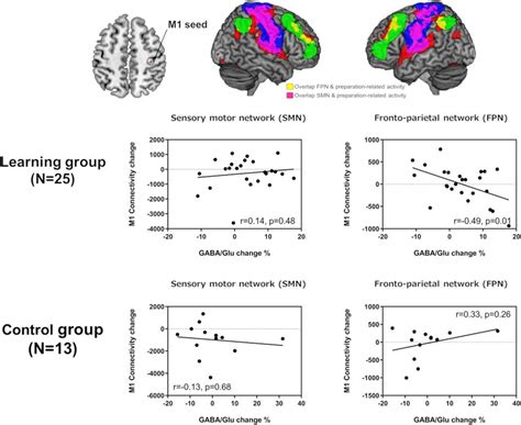 Region Of Interest Roi Based Analysis Of Functional Connectivity