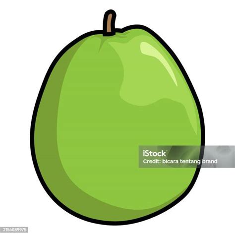 크리스탈 구아바 벡터 일러스트 레이 션은 흰색 배경에 고립되어 있습니다 0명에 대한 스톡 벡터 아트 및 기타 이미지 0명 개념 건강한 식생활 Istock