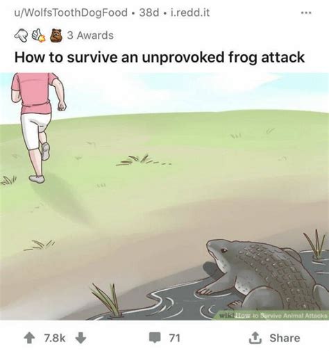 Wikihow Weird Articles 51 Pics