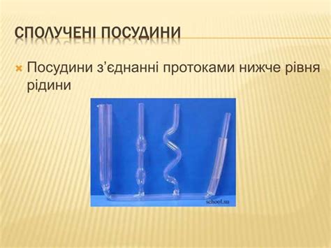 Elements Static And Dynamic PPT