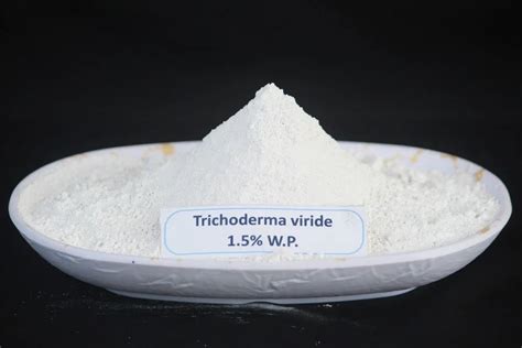 Trichoderma Viride 1 5 Wp 25 Kg Pp Bag At ₹ 58 Kg In Junagadh Id 19305473473