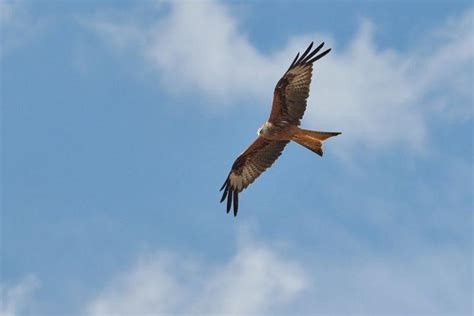 基于知识图谱的根因分析方法与应用 知乎