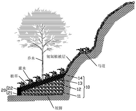 露天矿山边坡植被景观修复多元结构系统和修复方法与流程