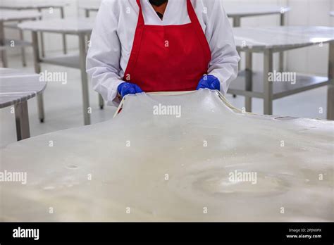 Process Of Making Traditional Bosnian Meal Called Burek Traditional Bosnian Pastry Manti