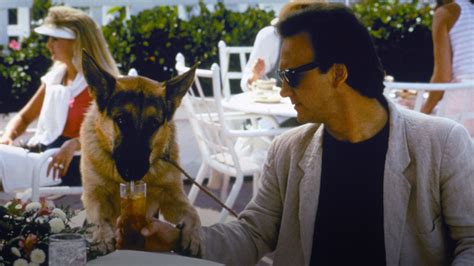 Se En Snut På Hugget 1989 Hyr Eller Köp Och Streama Utan Abonnemang