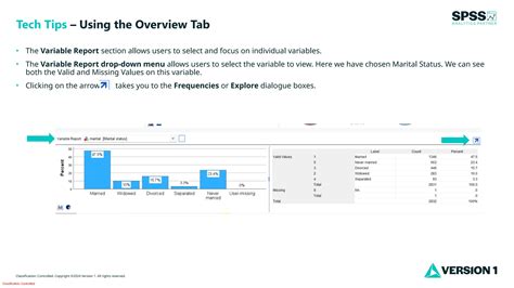 Using The Overview Tab In Ibm Spss Statistics Pptx