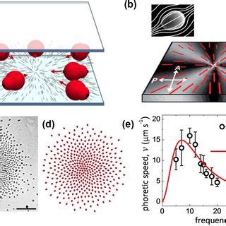A Schematic Of The Experimental System With Anisometric Colloids Download Scientific Diagram