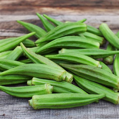 Okra Sera Okra Sultani 680grx12 Distributor In New Jersey Florida