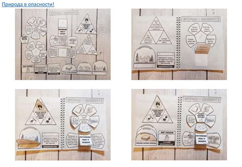 Природа Окружающий мир Распечатки по предмету презентация онлайн