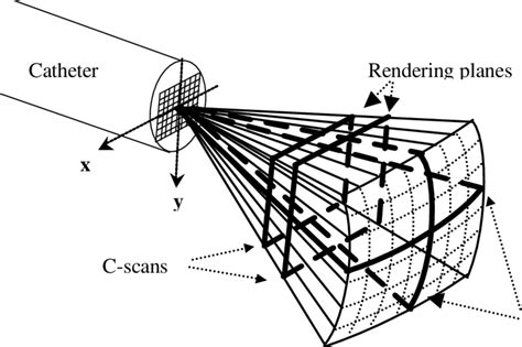 Schematic Of The Pyramidal Scan From Catheter 2d Array Transducer Bold