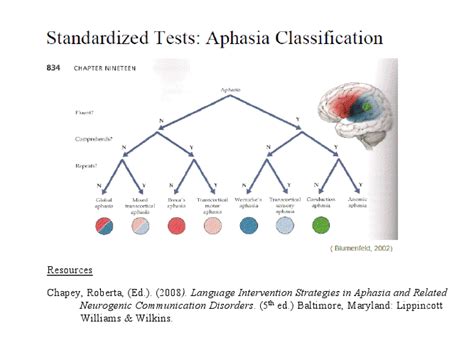Aphasia Types