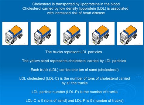 Ldl Cholesterol Particle Number And Particle Size Made Easy