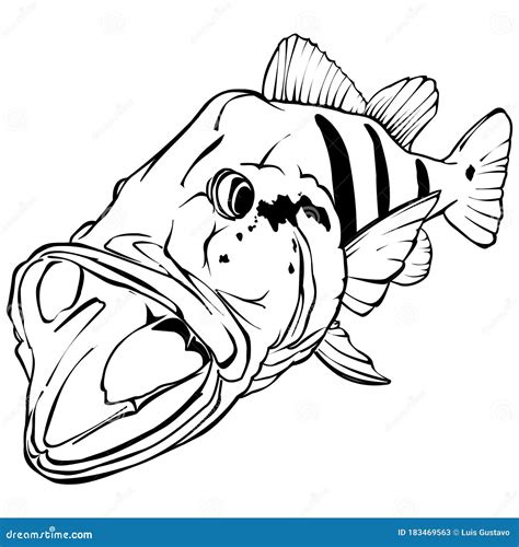 Peacock Bass Vector Illustration 74354899