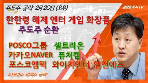 2차전지 한한령 해제 낙폭과대주 상승 Youtube