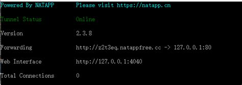 内网穿透下访问本地服务器注意事项飞鸽内网穿透连接成功了本地怎么不能访问 Csdn博客 内网穿透下访问本地服务器注意事项飞鸽内网穿透连接成功了本地怎么不能访问 Csdn博客