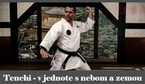 Seiryu Kata Spirit Of The Kata Kata Bunkai Kyusho