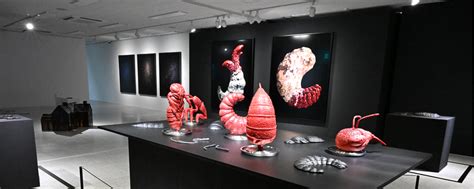 칠곡국제트랜스미디어축제 축제·행사 칠곡문화관광재단