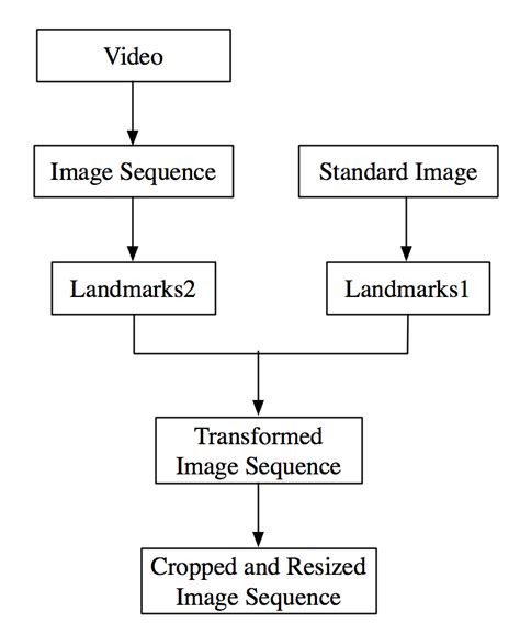 Flow Chart Of Image Sequence Preprocessing Download Scientific Diagram