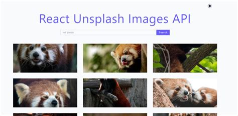 Houcem Eddine Aouissaoui On Linkedin React Netlify Unsplashapi