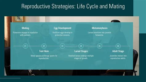 Reproductive Strategies Life Cycle And Mating Flatworms Ppt Powerpoint St Ai Ss Ppt Sample