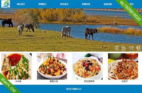 新疆旅游网页设计作业成品学生网页设计制作作业网页制作作业成品网页设计作业计算机毕业设计php作业asp作业网页模板帮我作业网