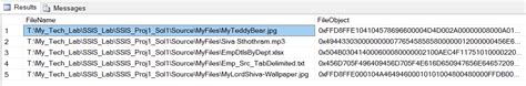 How To Export The Files From A Folder To The Sql Server Table In Binary