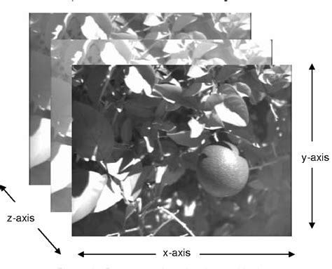 Figure 2 From Multispectral Imaging For In Field Green Citrus Identification Semantic Scholar