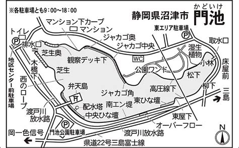 今週のヘラブナ推薦釣り場2024静岡門池 TSURINEWS