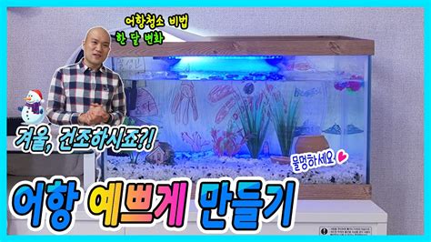 신기하고 예쁜 어항만들기 청소비법 로봇물고기 한 달 설치 후기 YouTube
