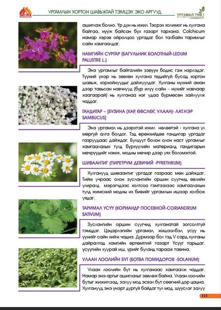 Экстра Ургамал Төв Added A New Photo Экстра Ургамал Төв