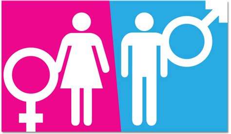 Name Verification And Gender Determination