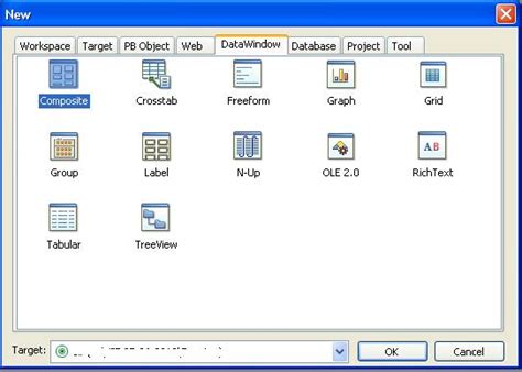 Desarrollador Powerbuilder Datawindow Composite