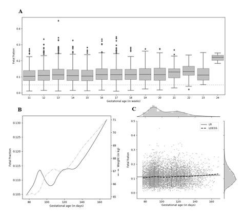 Effect Of Gestational Age On The Fetal Fraction A The Effect Of