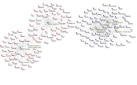 Enriched Functional Go Terms Groups Obtained With Fatigo Babelomics Download Scientific