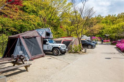 중랑캠핑숲 서울연구데이터서비스