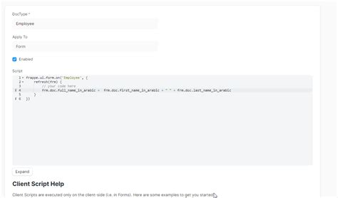 My First Custom Script Concatenating Two Values Frappe Forum