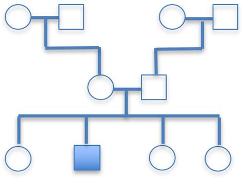 The Inheritance Of Biological Sex And Sex Linked Genetic Disorders