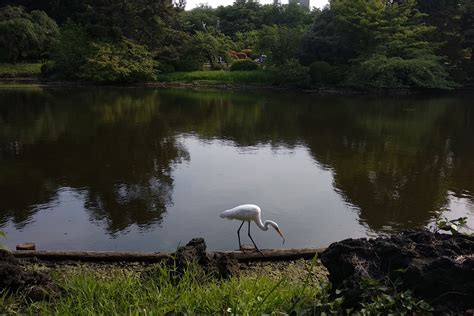 Learning To Sell Data Science φ Philips Curve