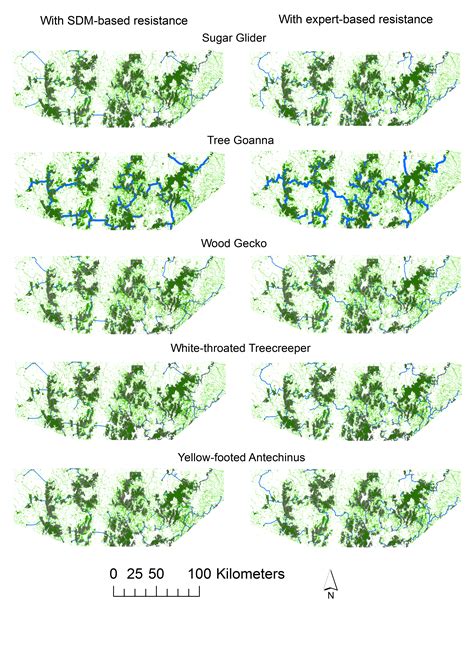 Identifying Wildlife Corridors For The Restoration Of Regional Habitat Connectivity A
