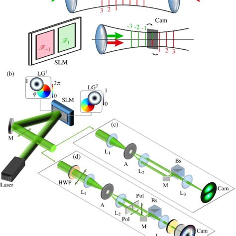 A Compares The Principle Of Counter Propagation At Top With The Download Scientific Diagram