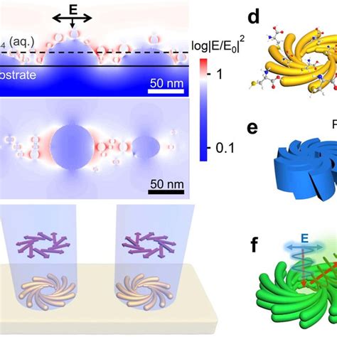 Polarization Directed Growth Of Complex Chiral Patterns Via Vector