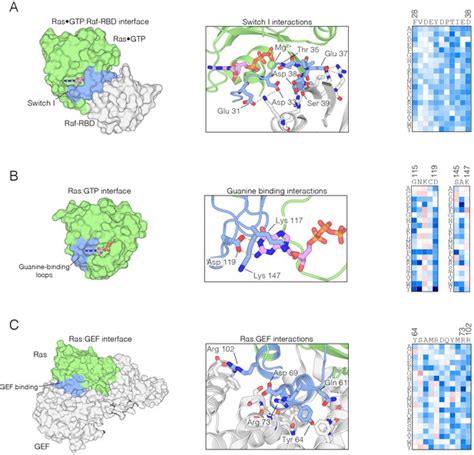 Figures And Data In Deconstruction Of The Ras Switching Cycle Through