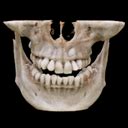 WebGL Gaussian Splat Viewer