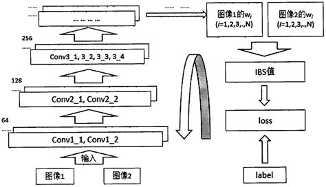 一种基于交叉对比神经网络的图像多任务分类方法与流程