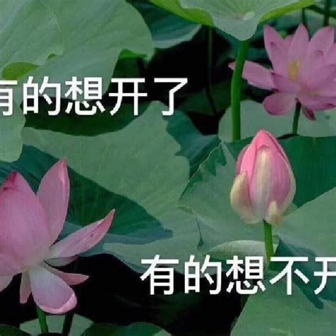 表情包 窒息