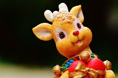 무료 이미지 겨울 꽃 귀엽다 사슴 식품 노랑 장난감 크리스마스 트리 세상에 알리다 닫다 출현 크리스마스