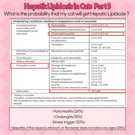 Hepatic Lipidosis In Cats Fatty Liver Syndrome Part 3 Branvine